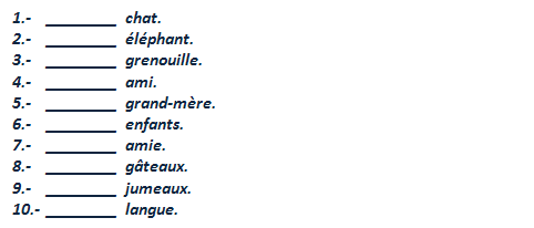 L´ARTICLE DÉFINI ET INDÉFINI