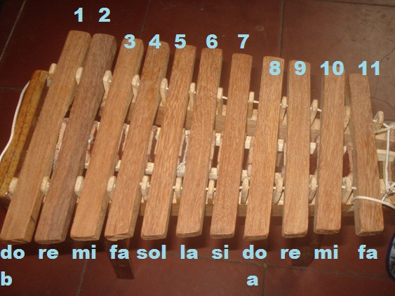 NOTA MONO.