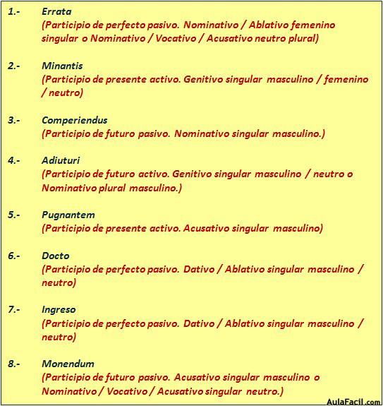 🥇 【 El Participio: Morfología - Latín II