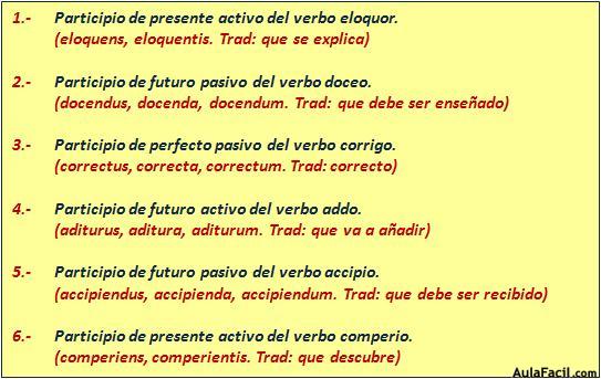 🥇 【 El Participio: Morfología - Latín II